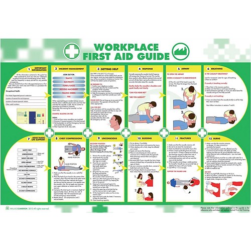 Wallace Cameron Workplace First-Aid Guide Poster Laminated Wall ...